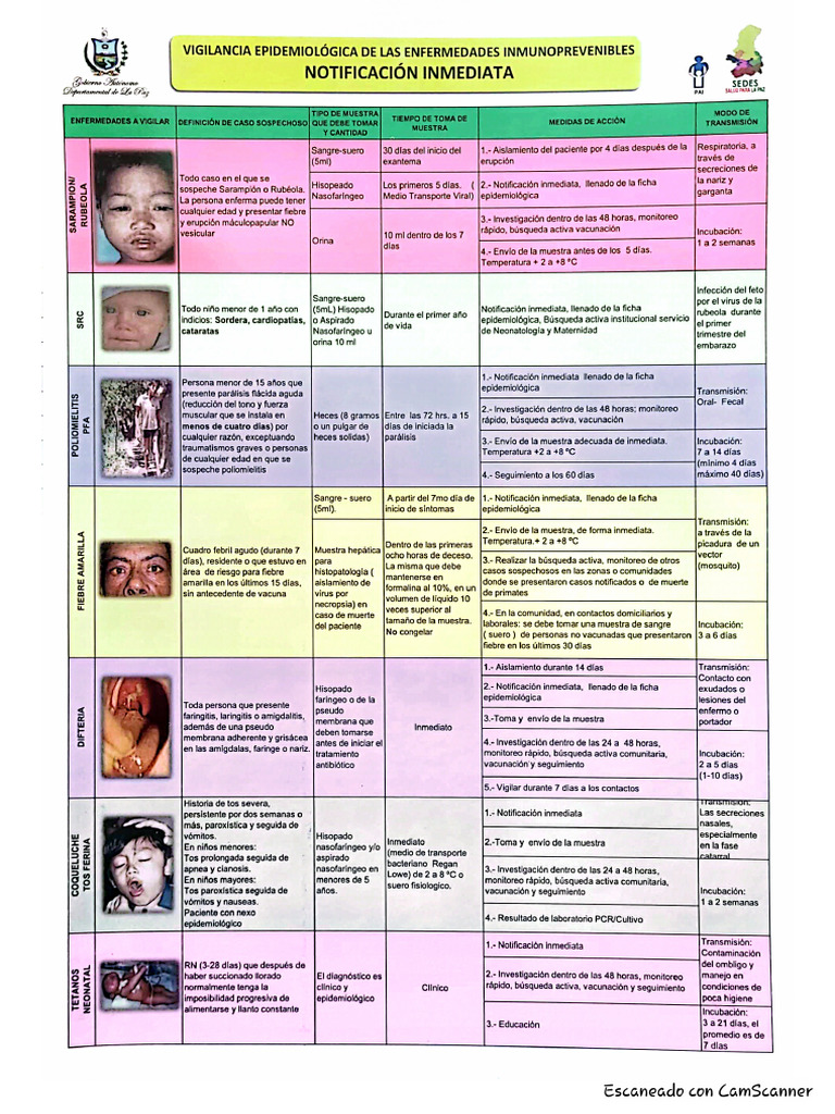 notificación inmediata | PDF