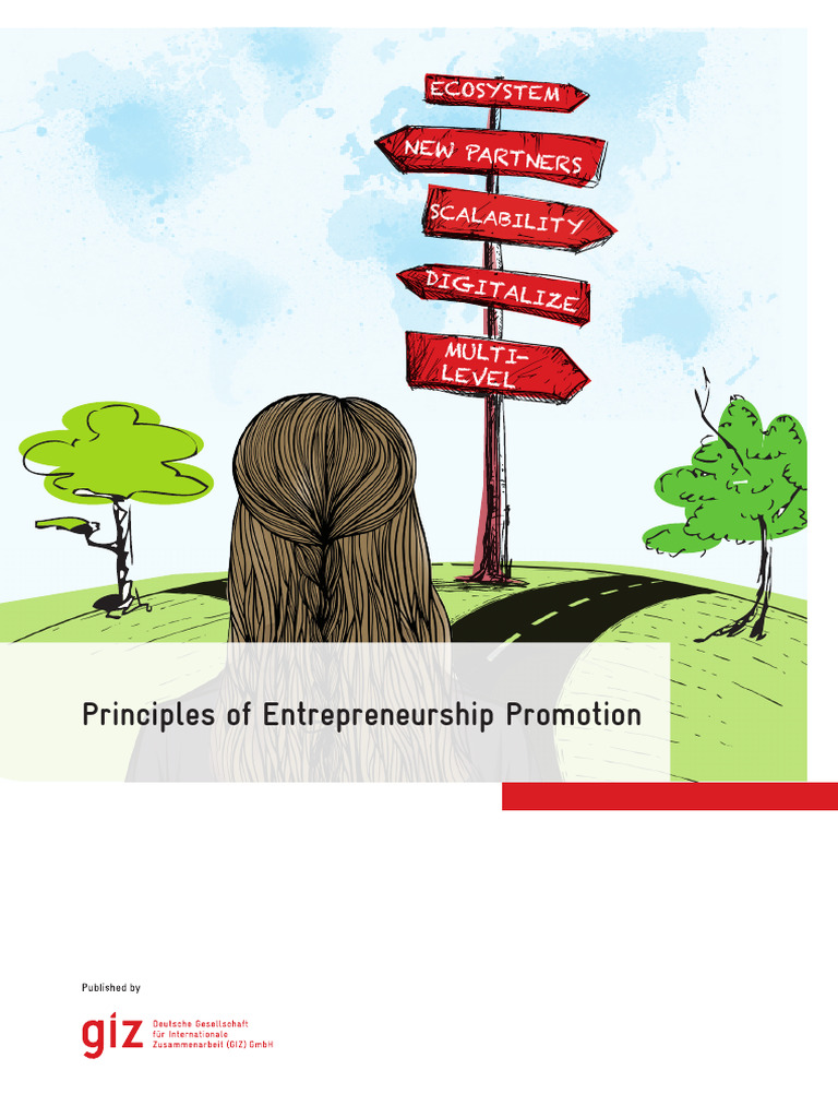 Principles of Entrepreneurship Promotion | PDF