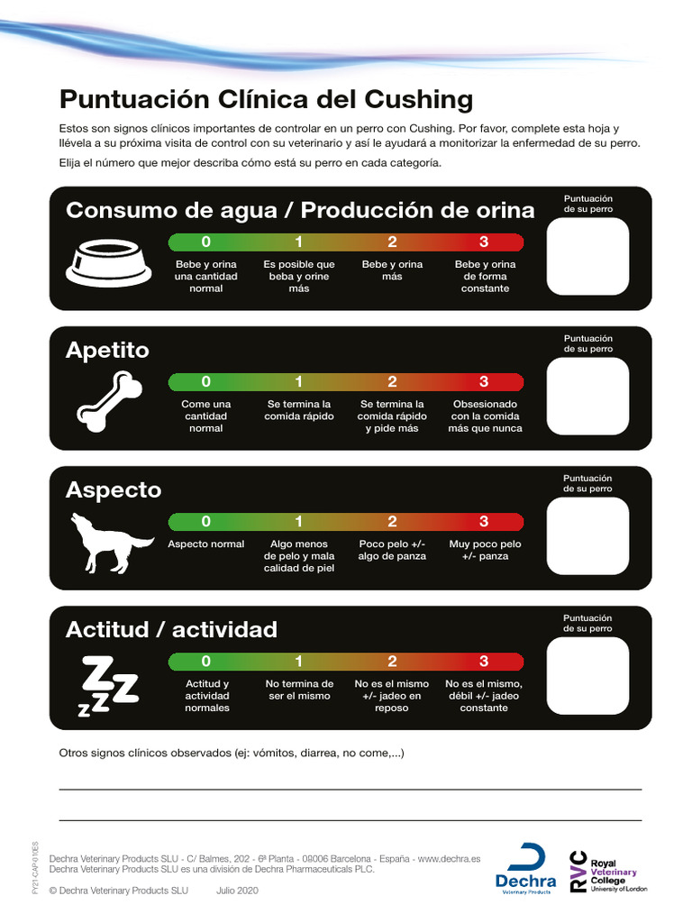 Cushing Clinical Score ES | PDF