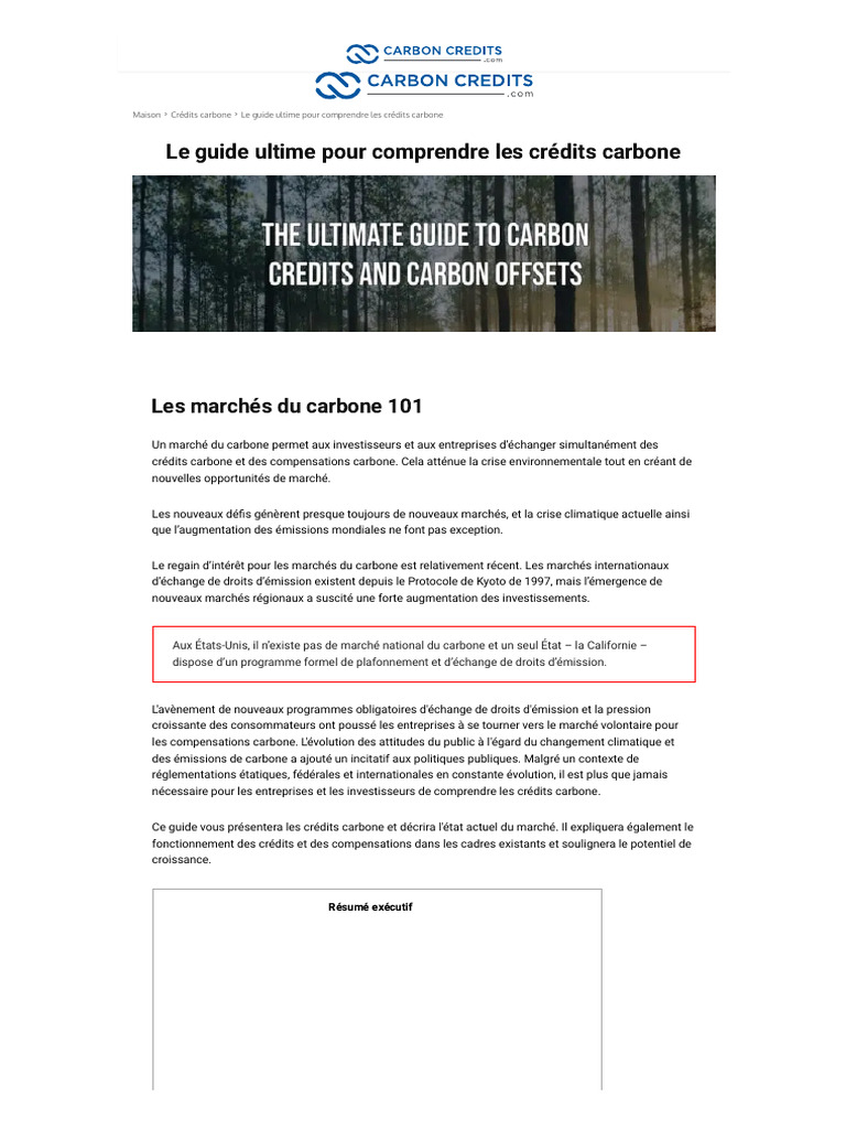 Le Guide Ultime Pour Comprendre Les Crédits Carbone - Crédits Carbone | PDF