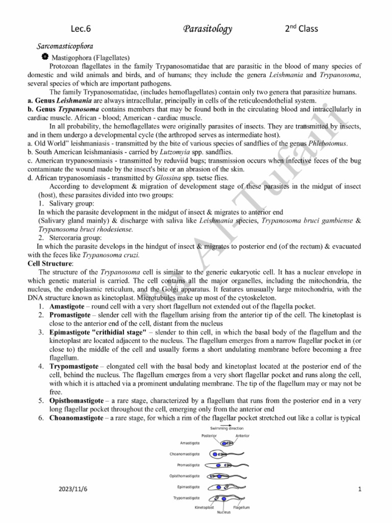 Lec6 Trypano 2023pdf | PDF