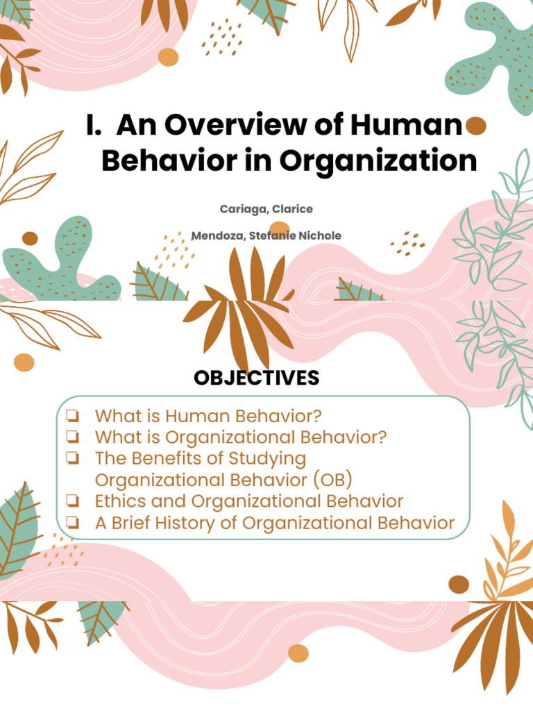 Human Behavior Report | PDF | Behavior | Organizational Behavior