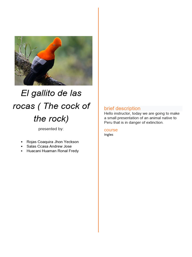 El gallito de las rocass | PDF