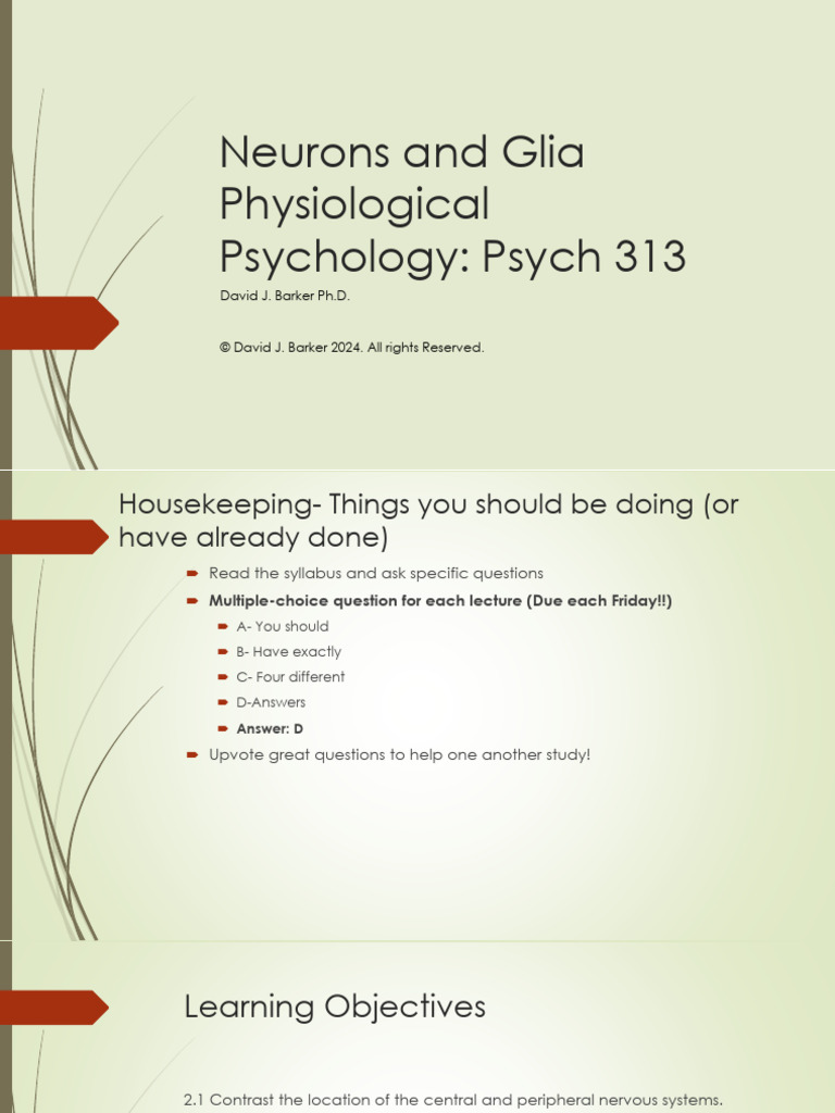 02-Neurons and Glia | PDF