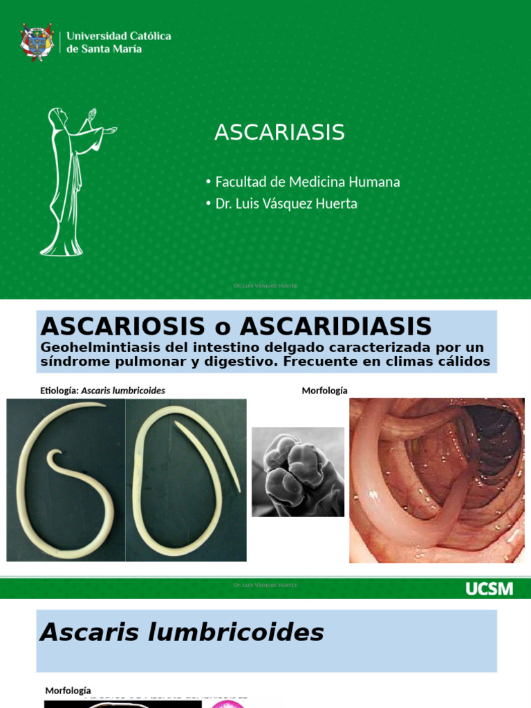 T. 1 Ascariasis | PDF