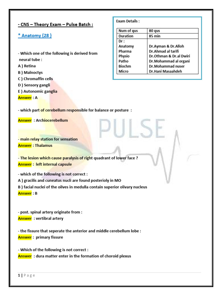 CNS Theory Exam - Pulse Batch | PDF