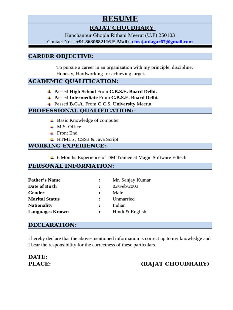 Rajat Resume | PDF