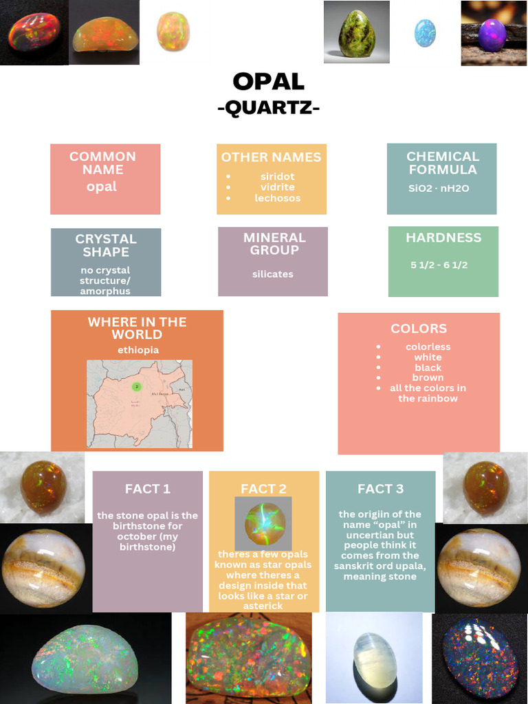 Science Infographic (Opal) | PDF