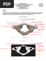 DEPUY SYNTHES - Expedium 5.5 | PDF | Vertebra | Screw