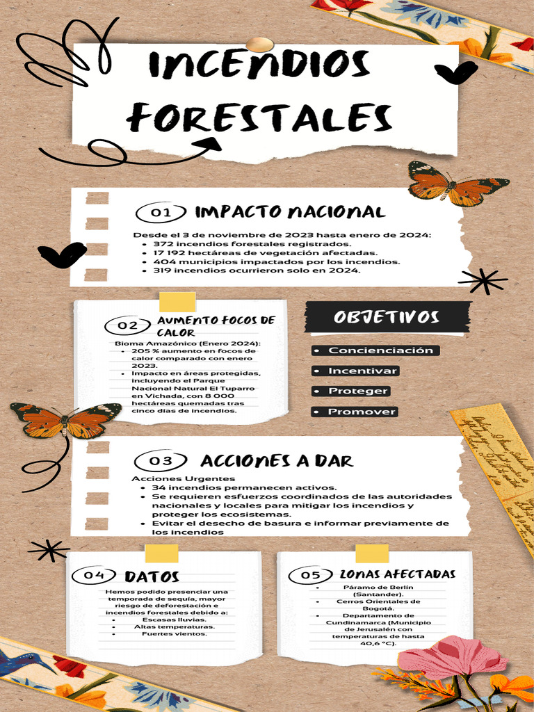 Incendios Forestales Infografia | PDF