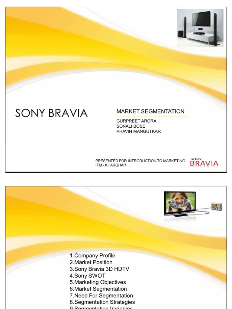 Sony Bravia 3D TV Market Segmentation | PDF