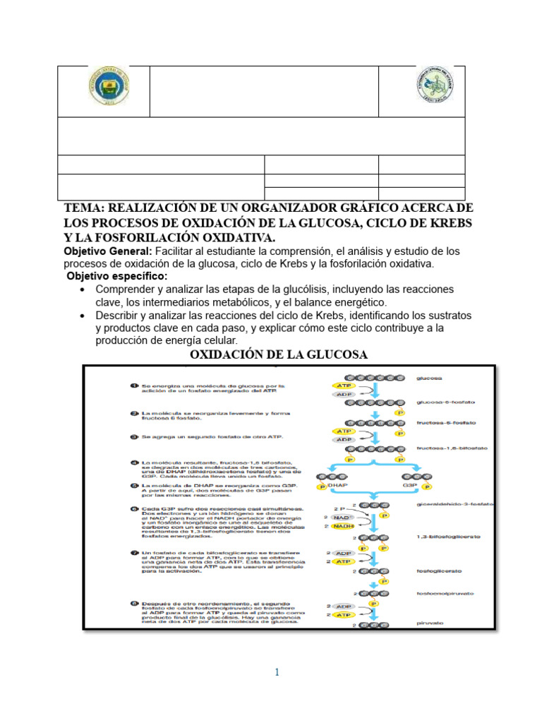 Tarea 2 - Unidad 3 - Maria Elisa Arévalo - Paralelo (QUI-02) | PDF