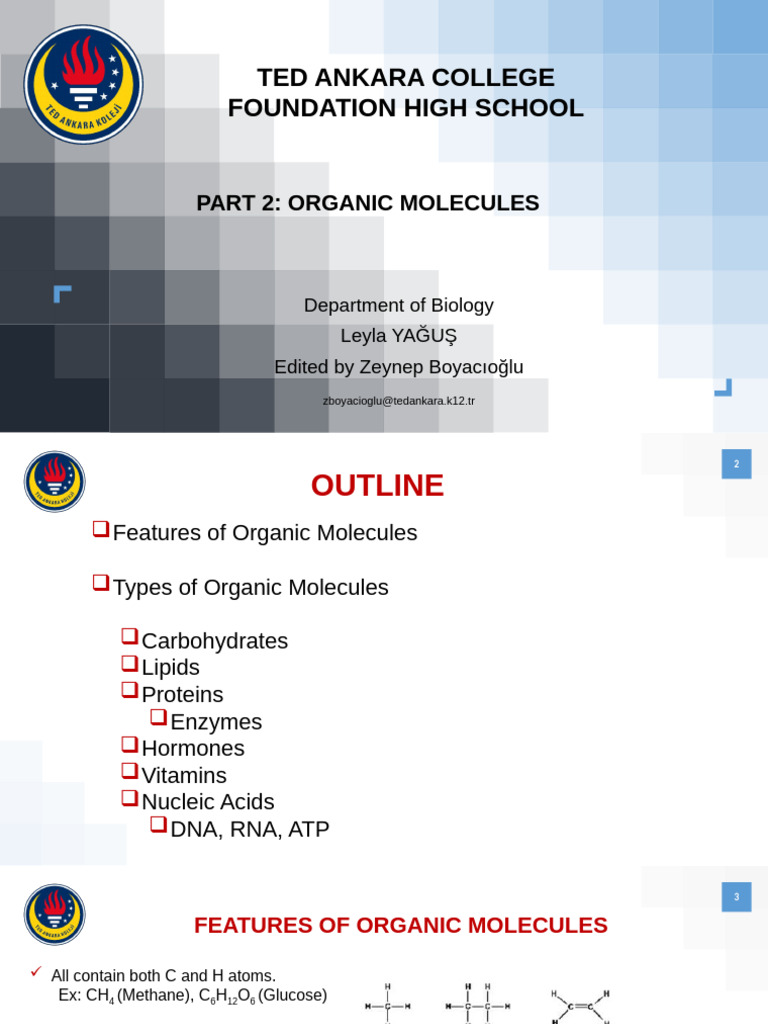 09.2 Basic Chemistry of Life-Organic Molecules | PDF