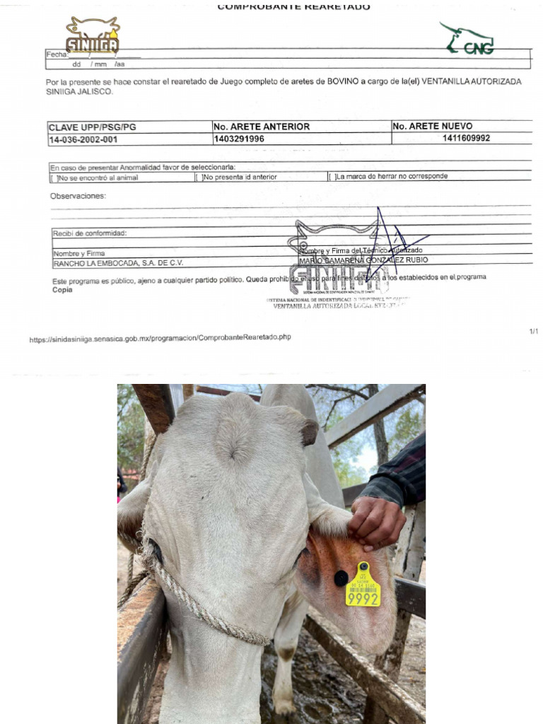 Rearetado 610-2 BN | PDF