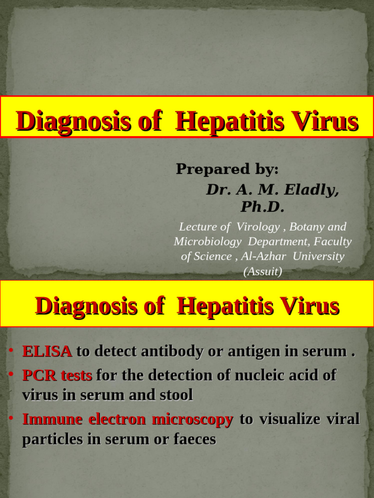 Animal Virology Lecture 4 (The Last) | PDF