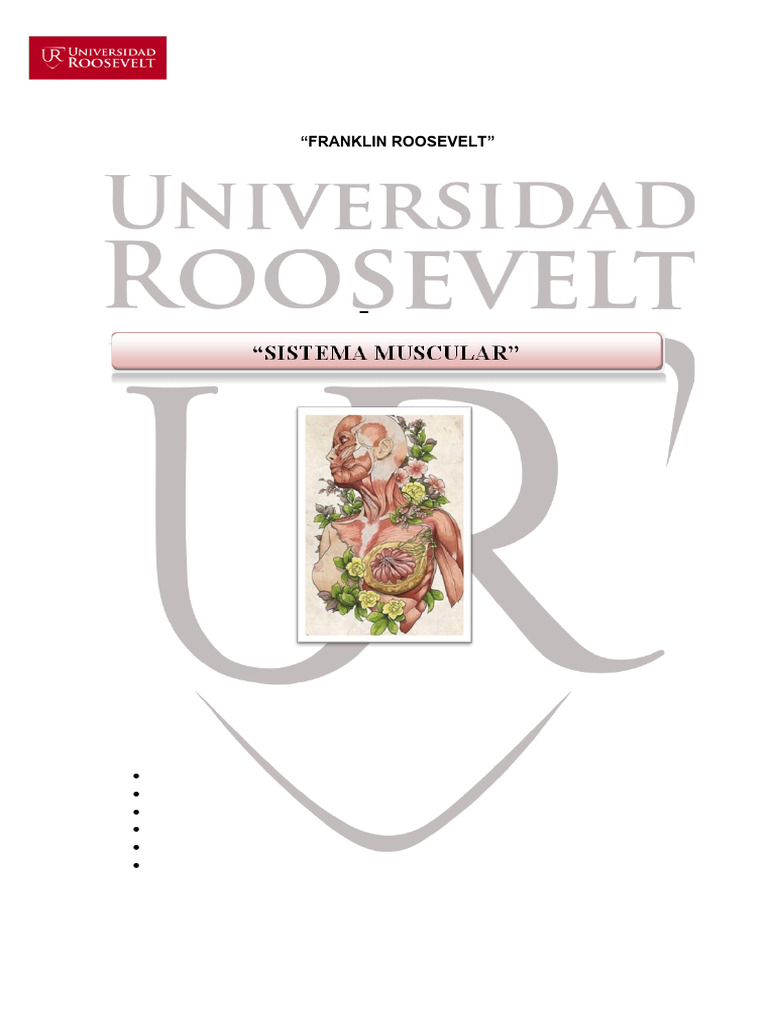 Imforme Del Taller Anatomia | PDF