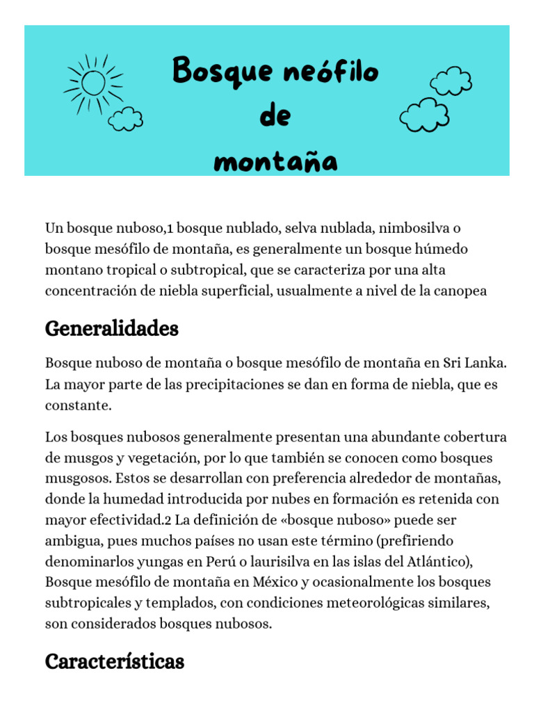 Bosque Mesófilo de Montaña - 20240828 - 174738 - 0000 | PDF