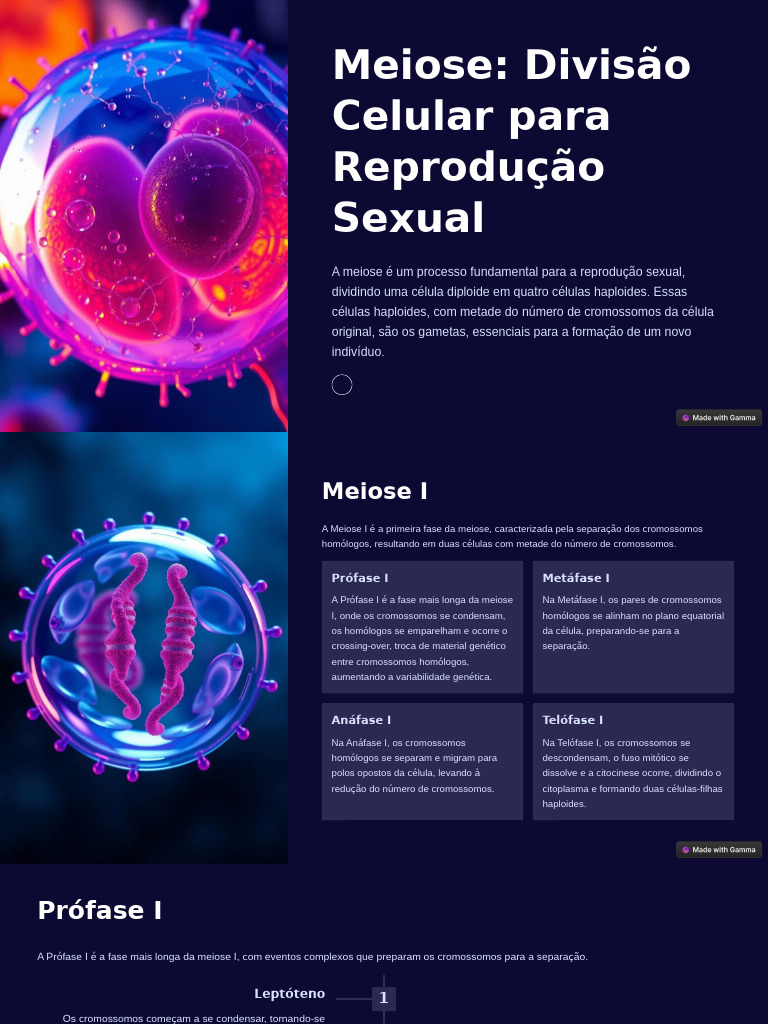 Meiose Divisao Celular Para Reproducao Sexual Pdf