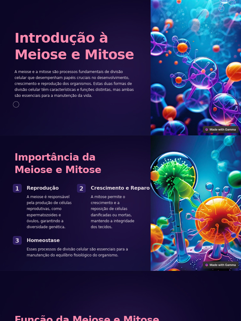 Introducao A Meiose e Mitose | PDF
