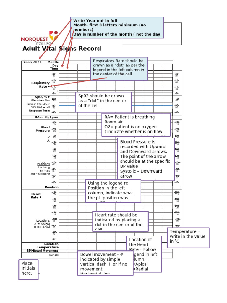Adult Vital Sign Completion Guide | PDF | Cardiovascular System ...