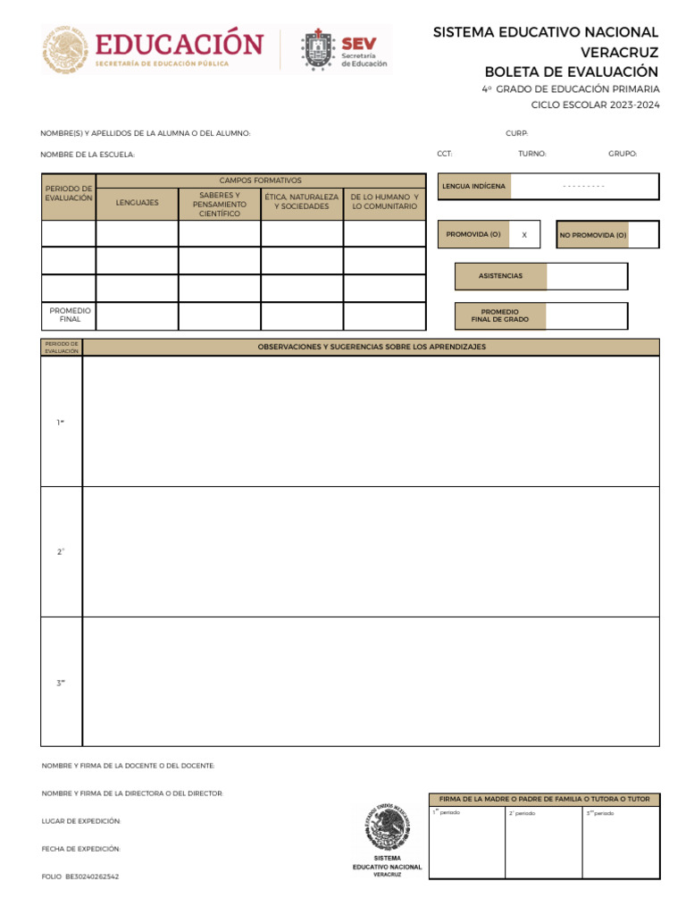 Reporte de Evaluacion Formato Vacio | PDF
