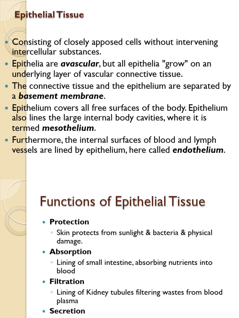Epithelial Tissue PDF | PDF