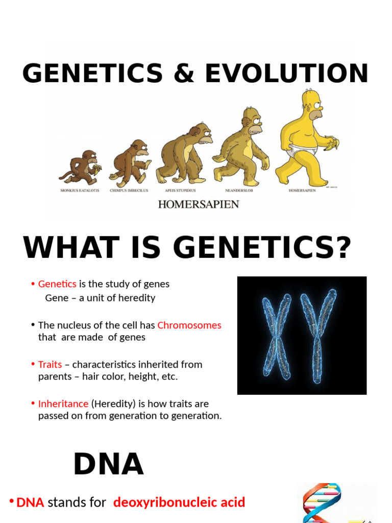 Genetics and Evolution Notes 2020 | PDF
