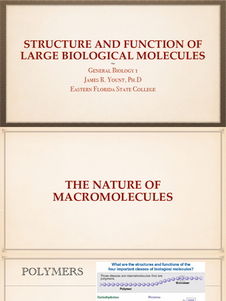 PresBio1d Large Biological Molecules (CH 4) | PDF