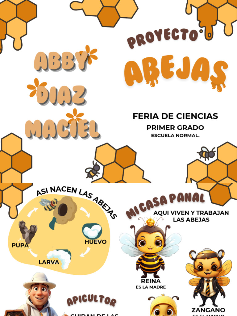 Proyecto Abejas | PDF