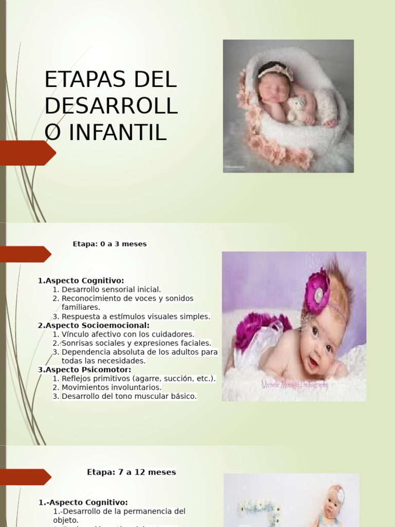 Etapas Del Desarrollo Infantil | PDF