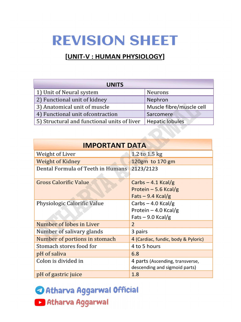 Biology Revision Sheet | PDF