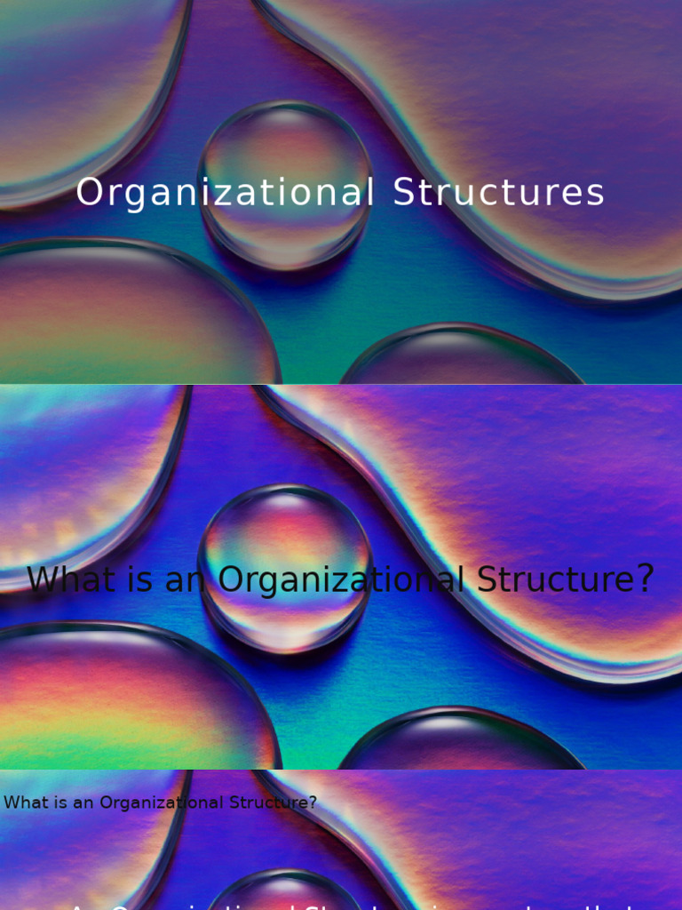 Organizational Structures | PDF