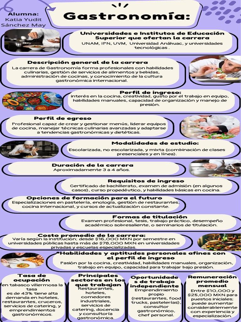 Infografía de Carrera de Interés - Katia Yudit Sánchez May | PDF