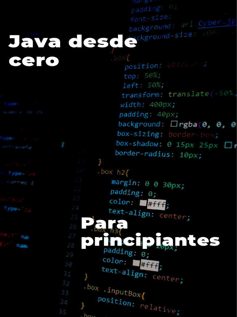 Black and White Modern Technology The Programming Language Book Cover | PDF