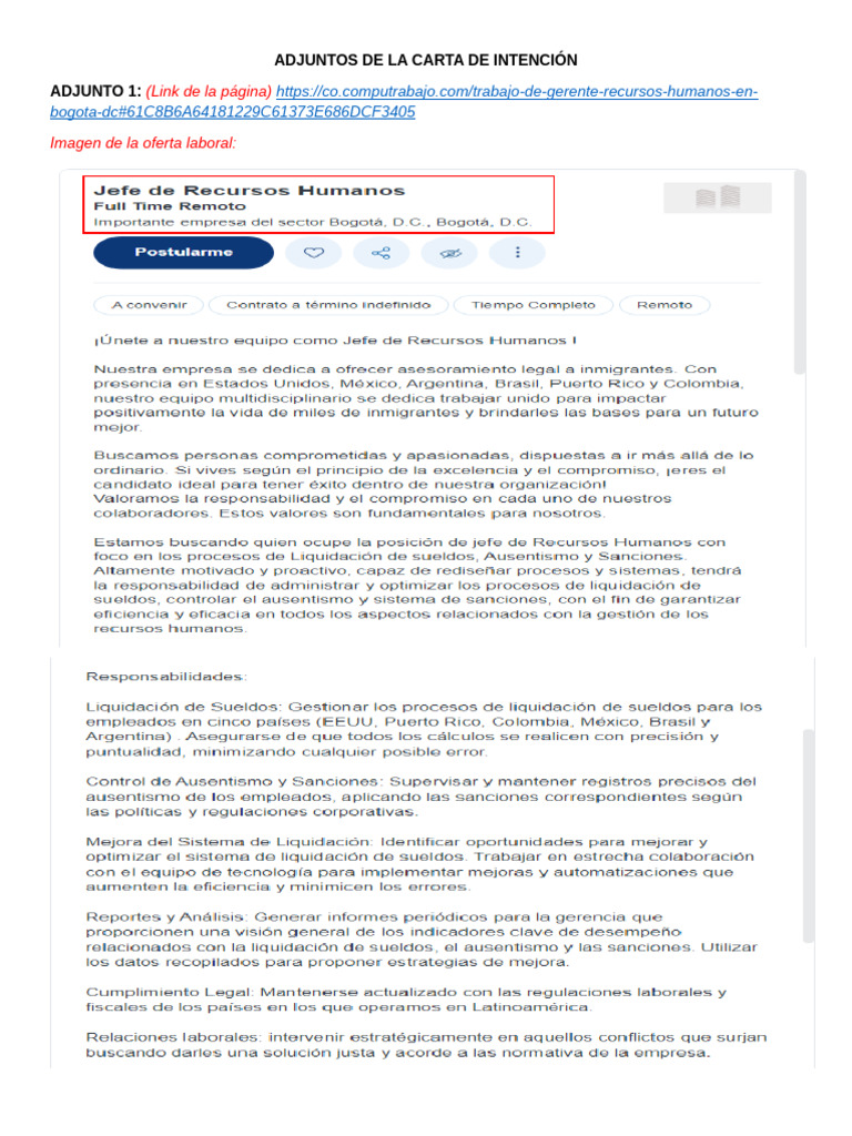 MODELO ADJUNTOS | PDF