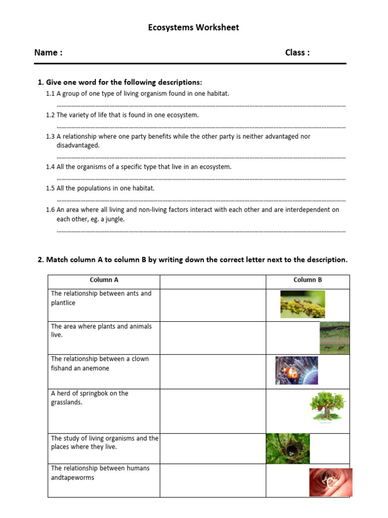 Ecosystem Worksheet | PDF