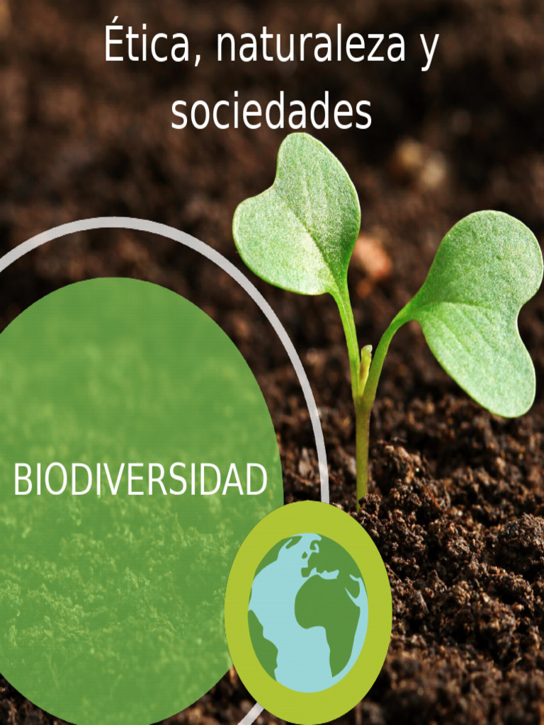 Bio Divers I Dad | PDF