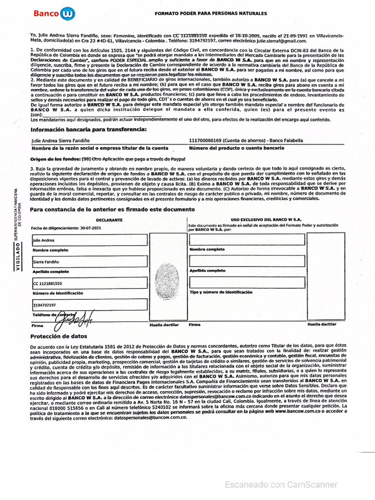 Formato Poder para Personas Naturales | PDF