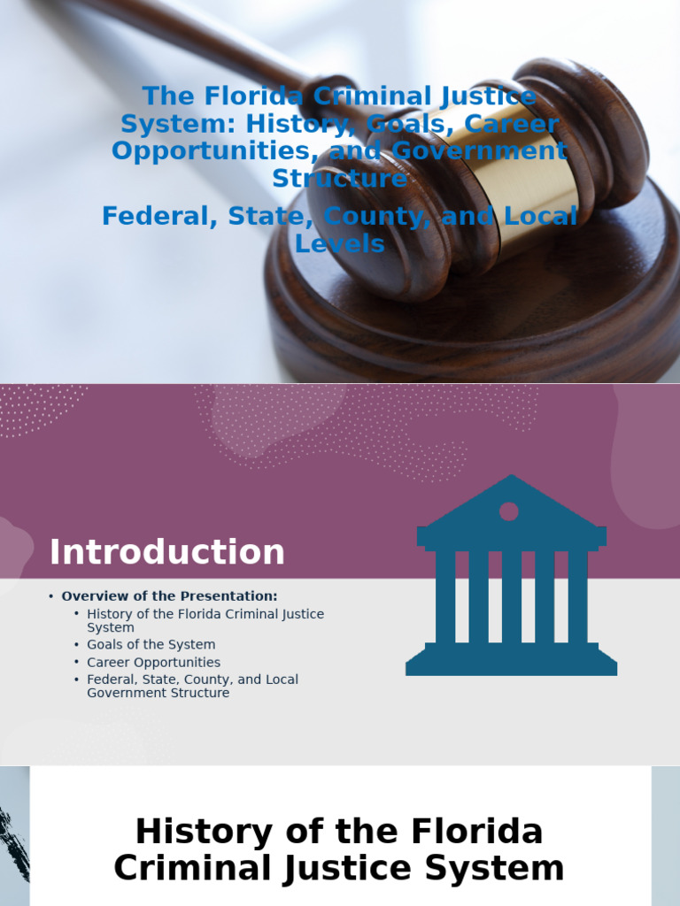 Criminal Justice Powerpoint Introduction 2 | PDF