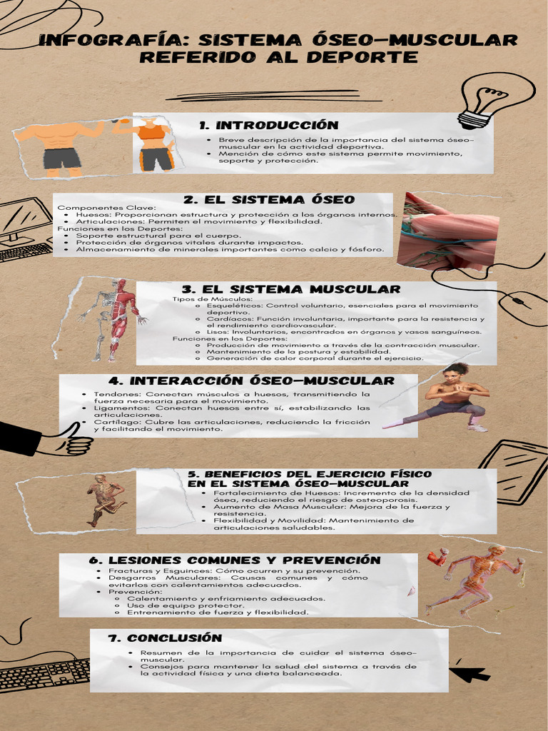 Importancia del Sistema Óseo-Muscular en el Deporte | PDF | Músculo | Hueso
