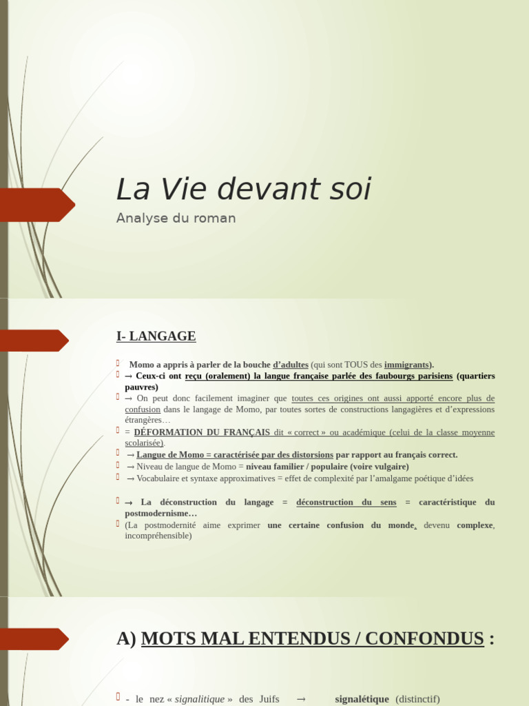 La Vie Devant Soi Analyse | PDF