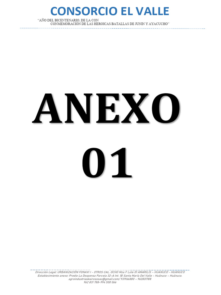 1. ANEXO 01 | PDF