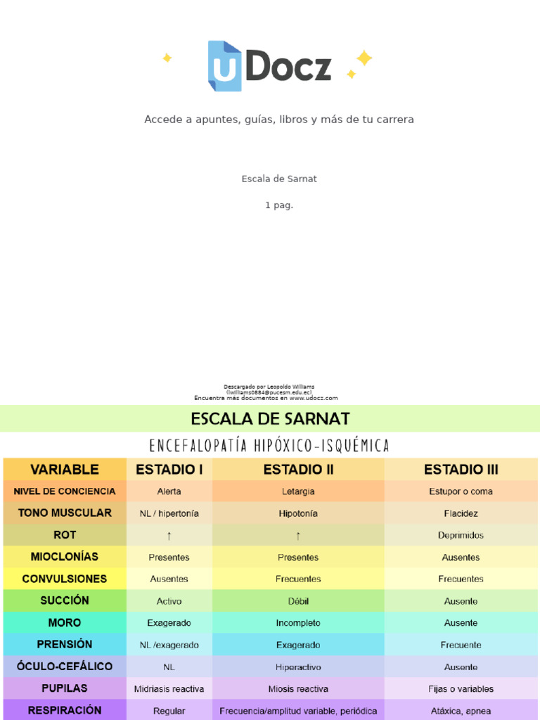 escala-de-sarnat-288407-downloadable-3809131 | PDF