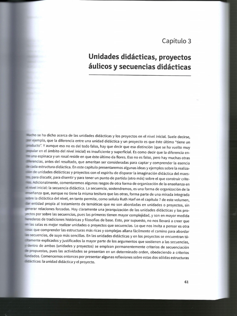 Cap. 3-Didactica Del Nivel Inicial-d. Brailovsky | PDF