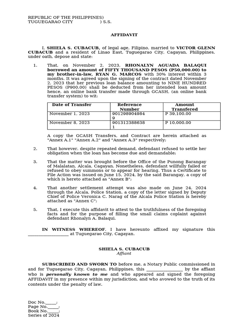Affidavit of Witness | PDF