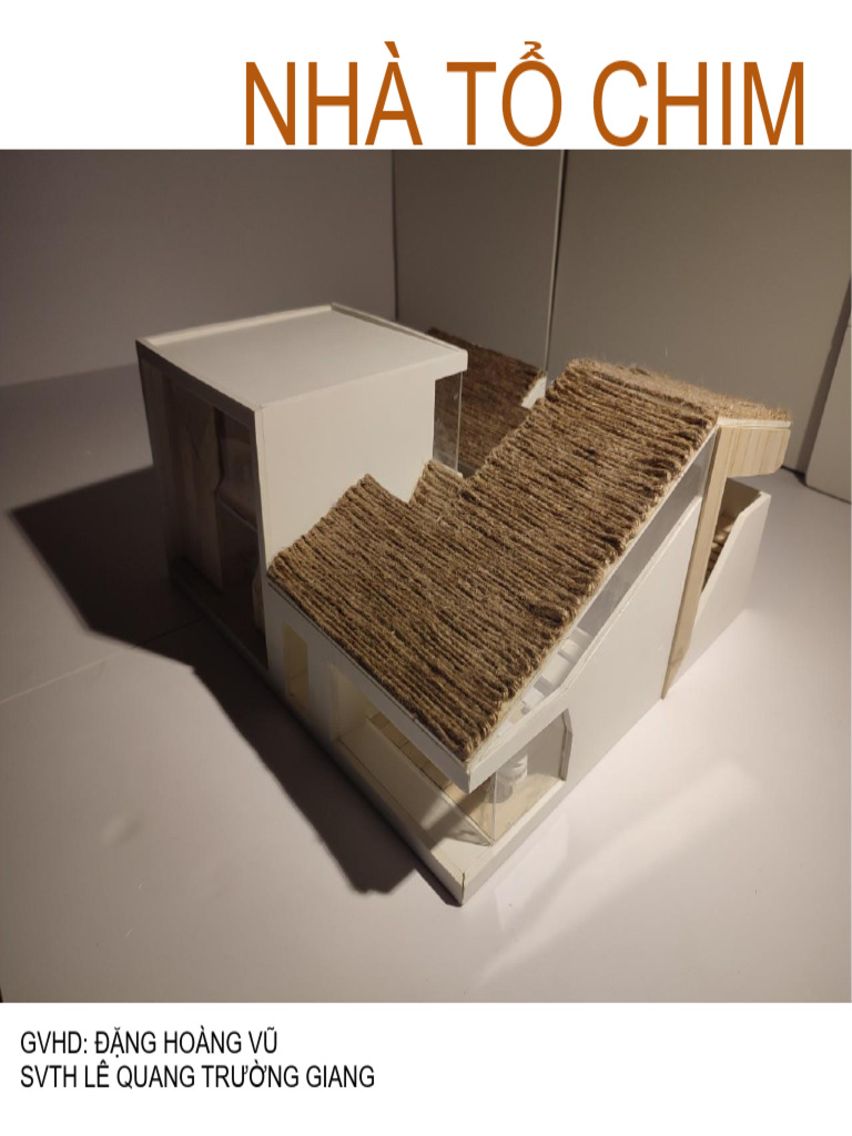 Nhà Tổ Chim: Gvhd: Đặng Hoàng Vũ Svth Lê Quang Trường Giang | PDF