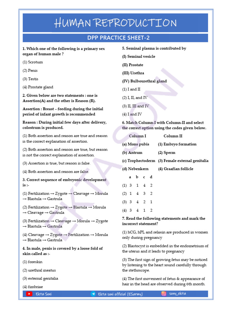 DPP-2 Human Reproduction | PDF