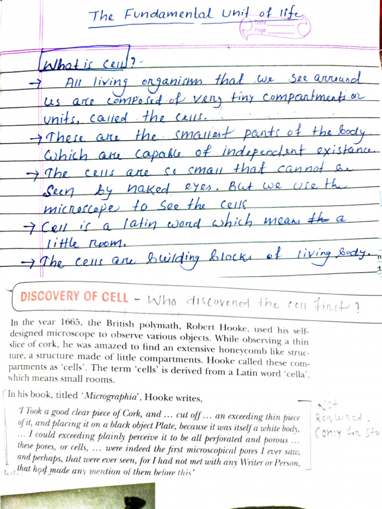 Cell-Fundamental unit of life part-1 | PDF