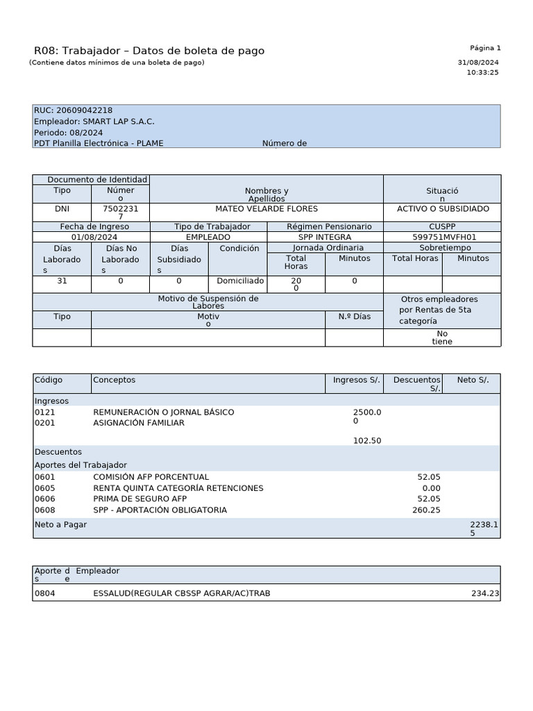 PDT PLANILLA E | PDF