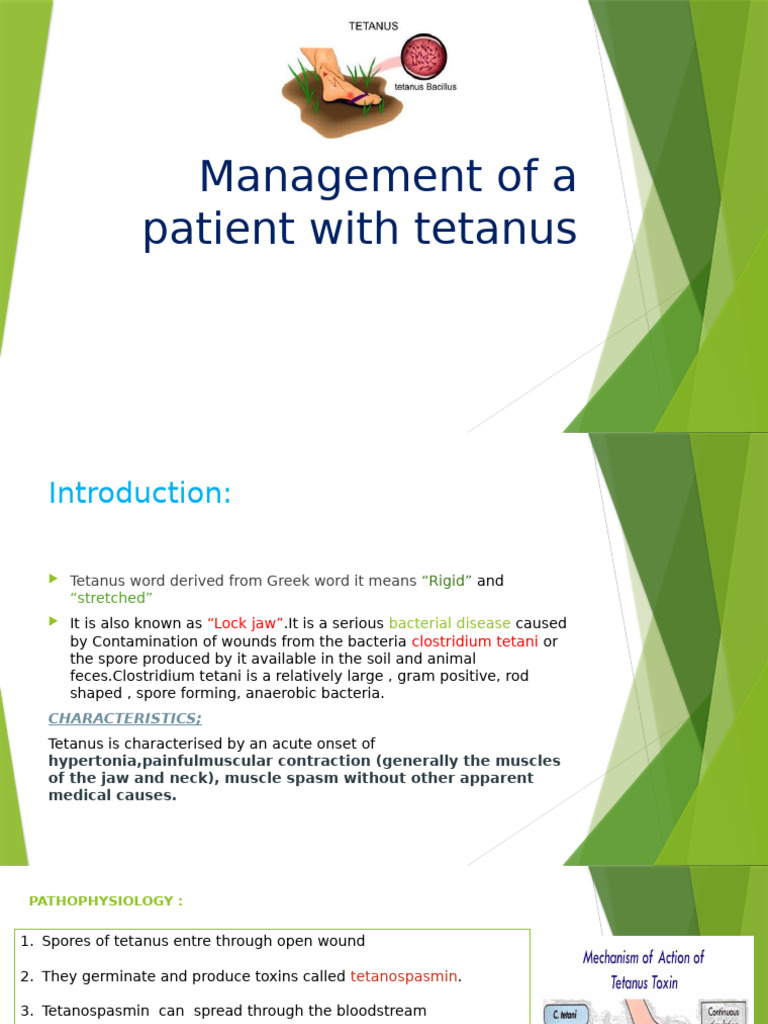 Management of A Patient With Tetanus | PDF
